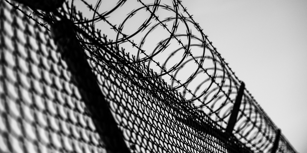 Release after half or two-thirds of a sentence? Examples from a year in ...